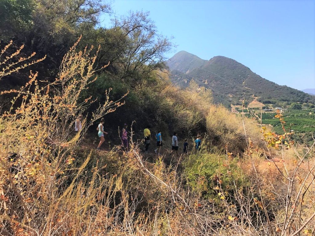 Cozy Dell Hike